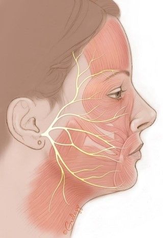 Facial-Nerve-Center | Universitätsklinikum Tübingen