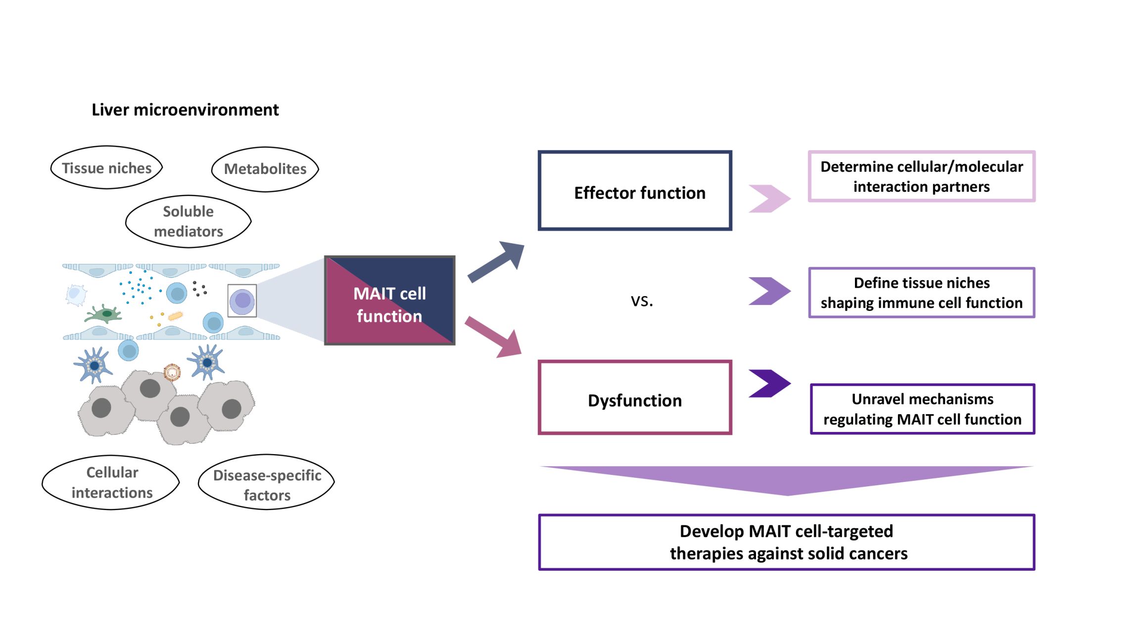 M3 Metabolic regulation and manipulation of immune cell function in ...